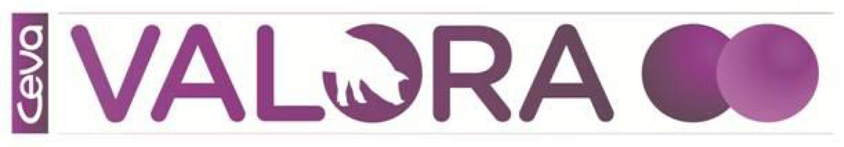 Ceva Salud Animal - Hocotec.co