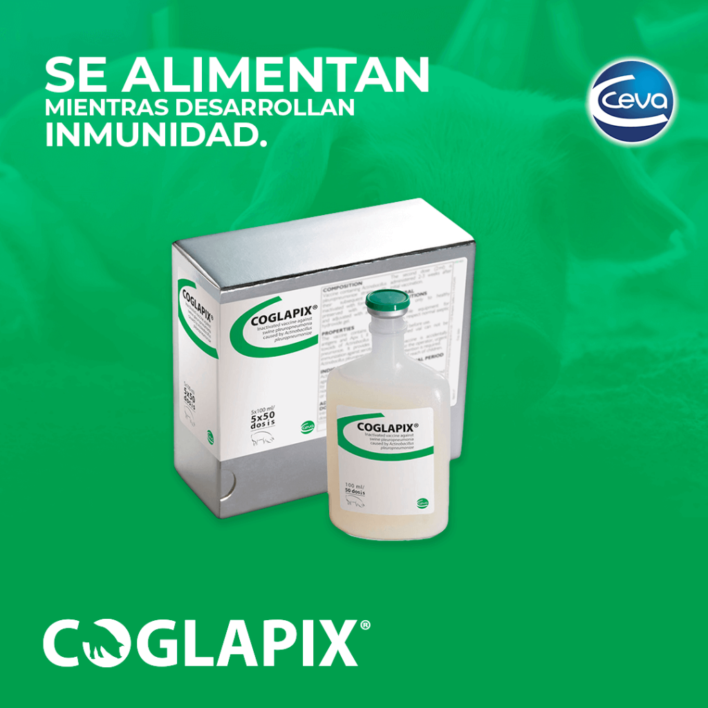 COGLAPIX - CEVA - Hocotec.co